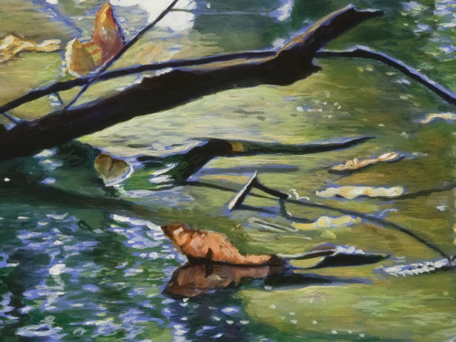 Water's Edge Reflection | 64 Parishes