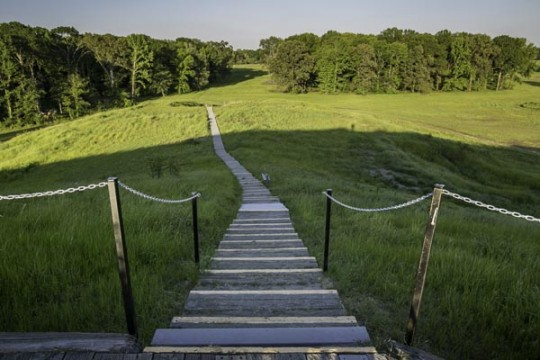 Poverty Point - 64 Parishes