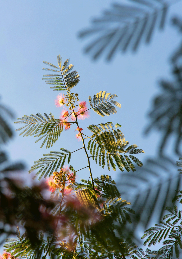 2BXJP54 - 64 Parishes