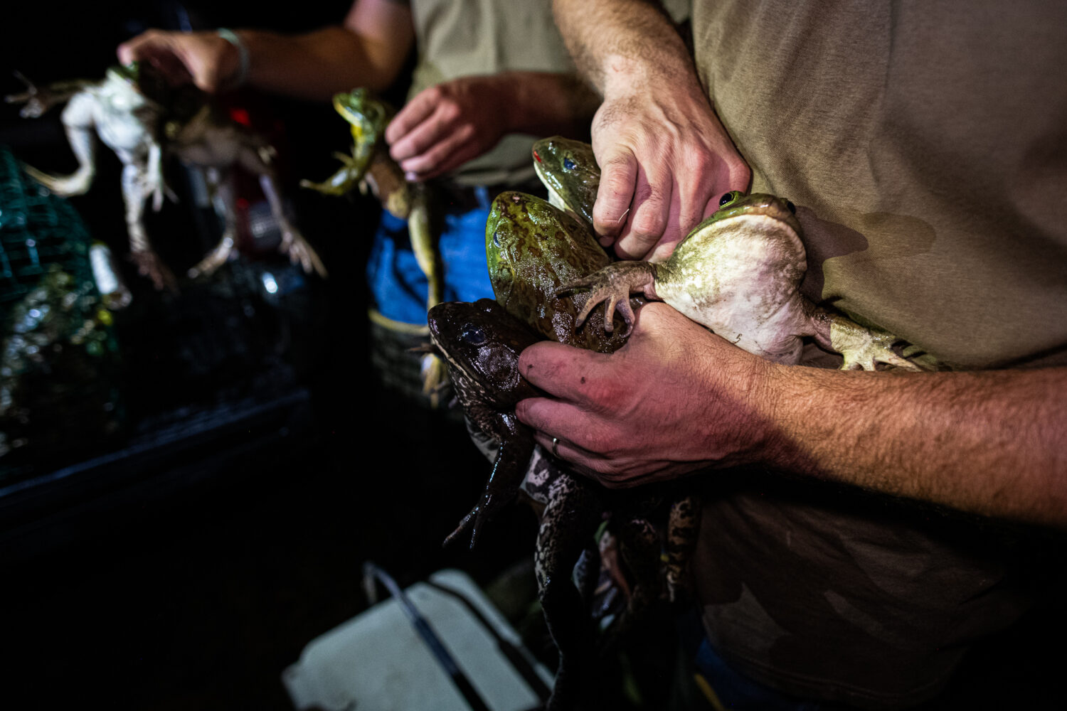 Reach for the Back and Pray - 64 Parishes