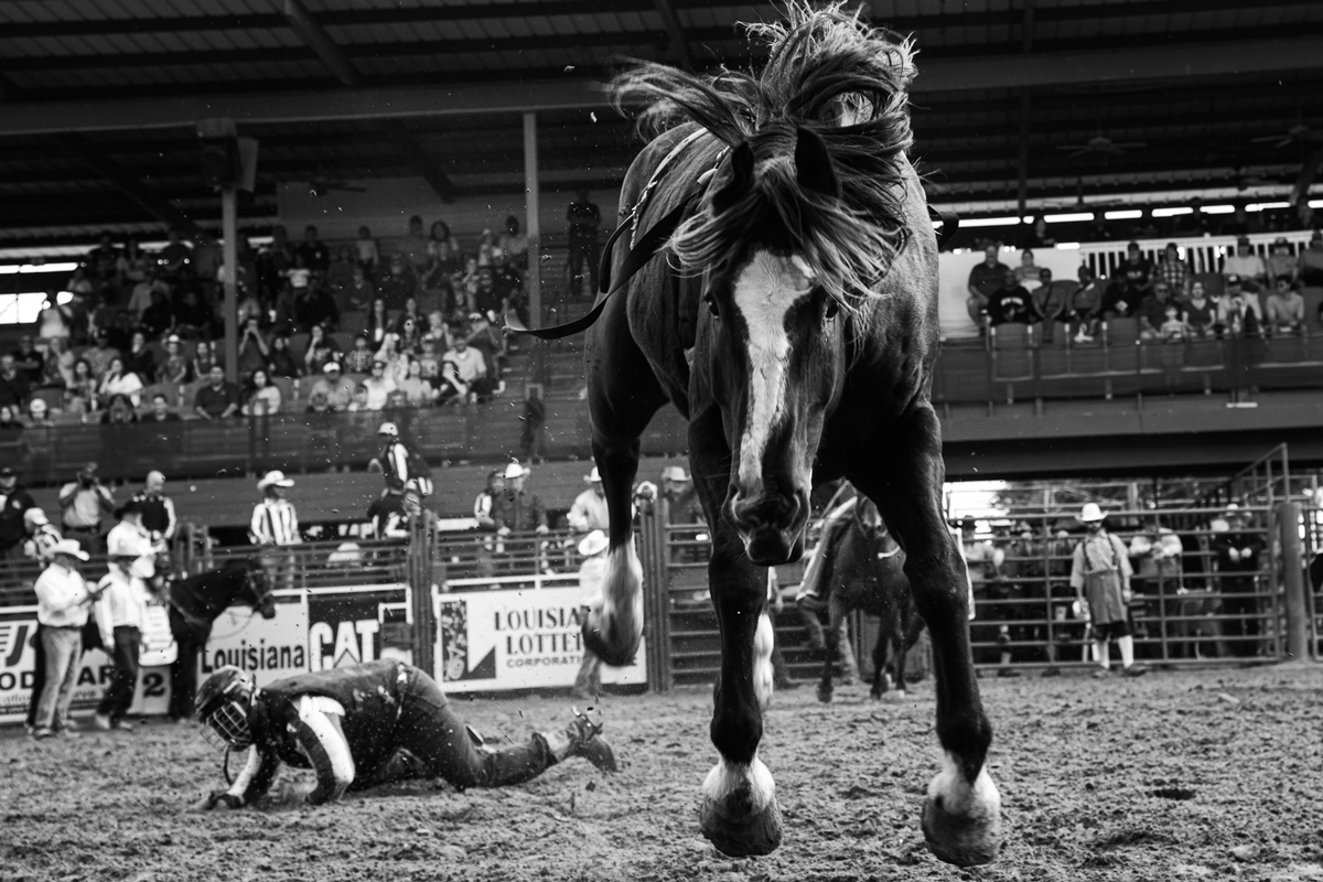 CAP1_Angola_Rodeo_bronco_WEB - 64 Parishes