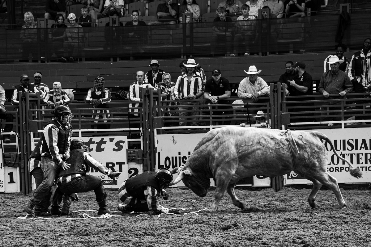 The Wildest Show - 64 Parishes