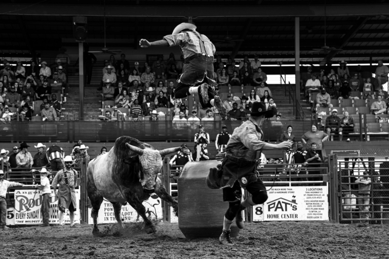 The Wildest Show - 64 Parishes