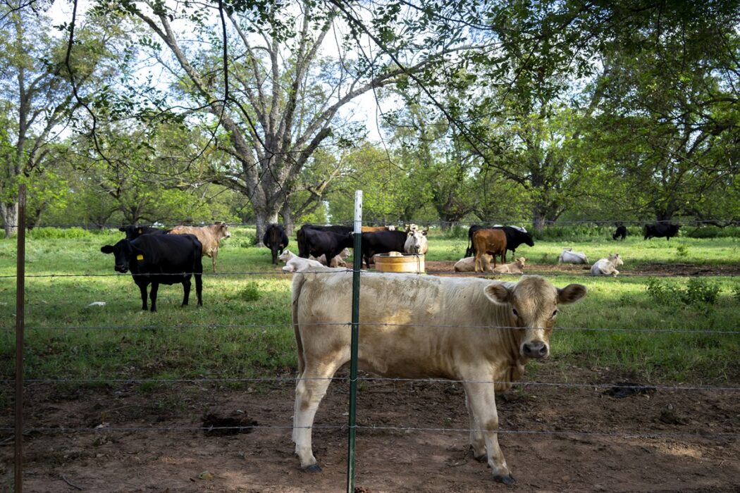 The Red River Valley - 64 Parishes