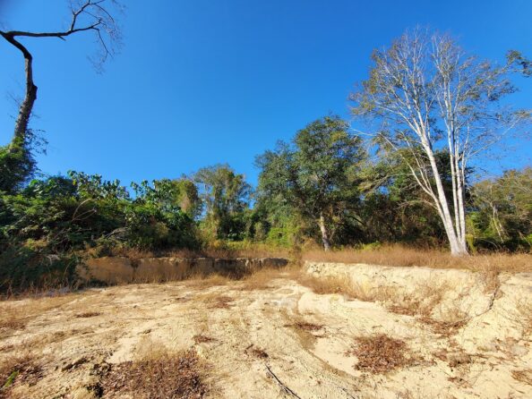 The St. Joe Brick Yard - 64 Parishes